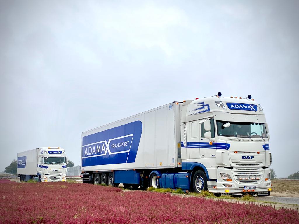 Adamax – Transport międzynarodowy