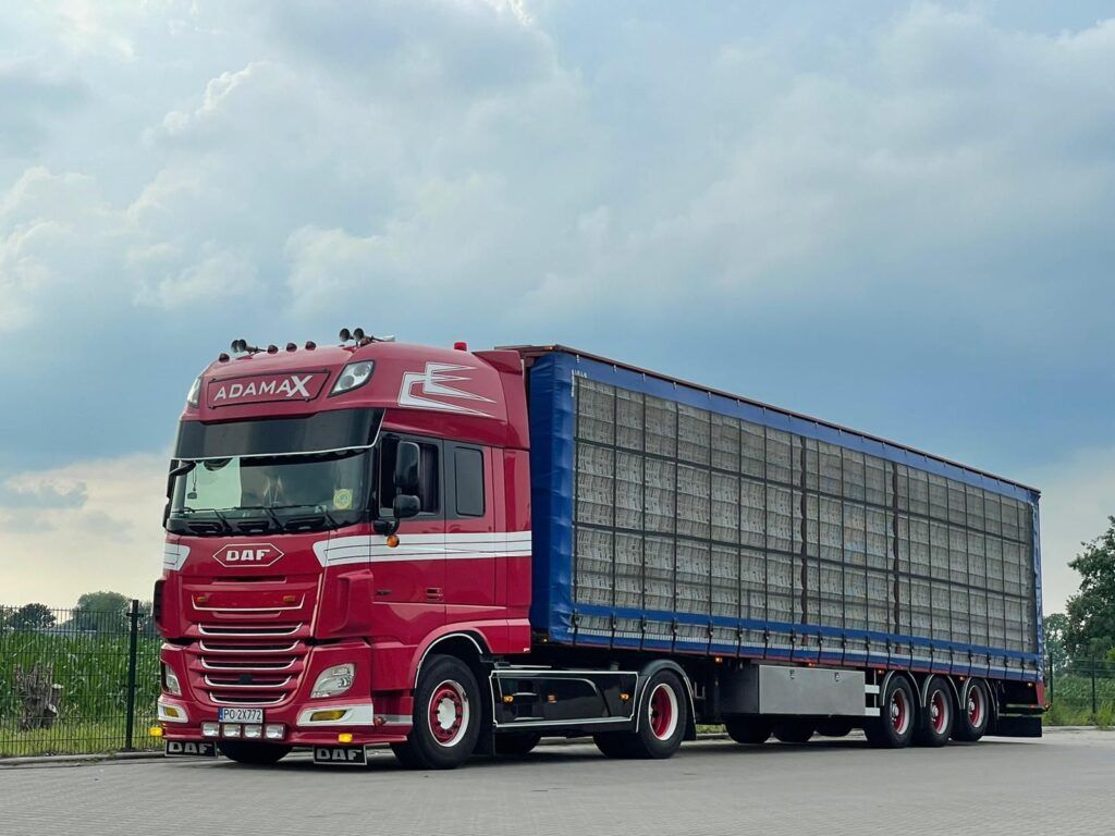 Galeria │ Adamaxtransport – Adamax