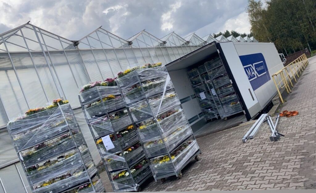 Adamax │ Galeria – Adamax